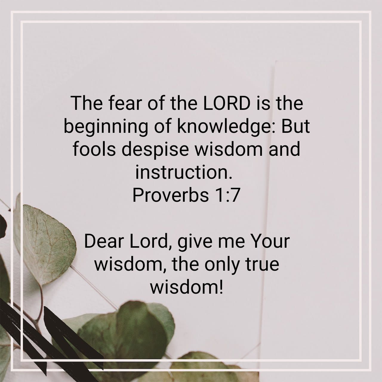 Wisdom from the Word Day 1 – Raychel Writes