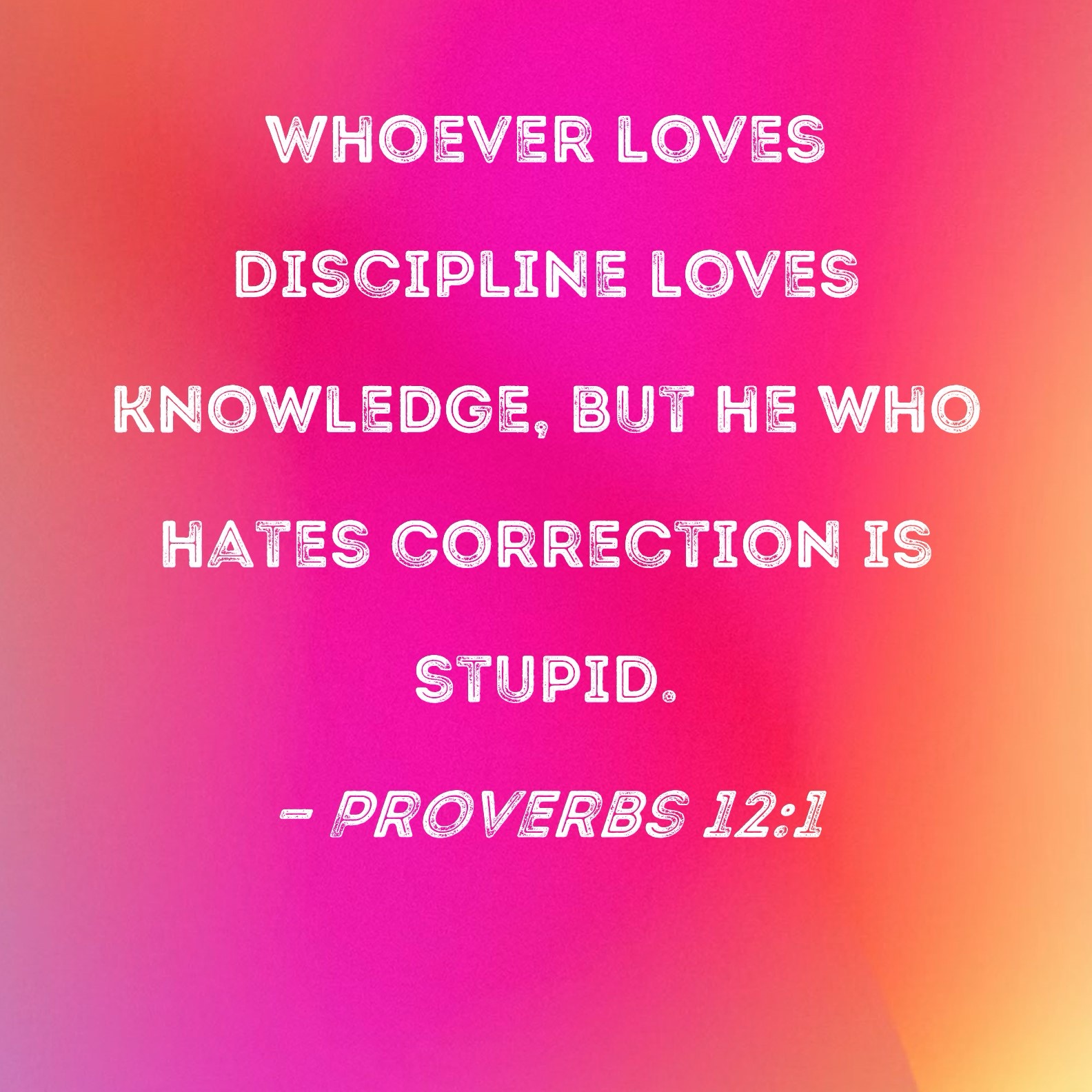 Wisdom from the Word Day 12 – Raychel Writes