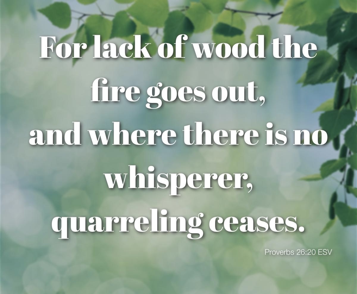 Wisdom from the Word Day 26 – Raychel Writes