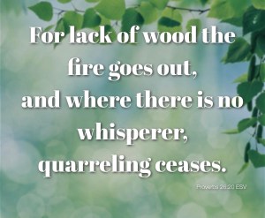 Wisdom from the Word Day 26 – Raychel Writes